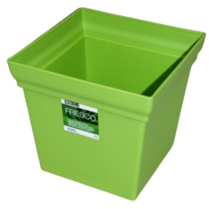 Shop Fresco Square Pot 100mm Lime - Homeleisure