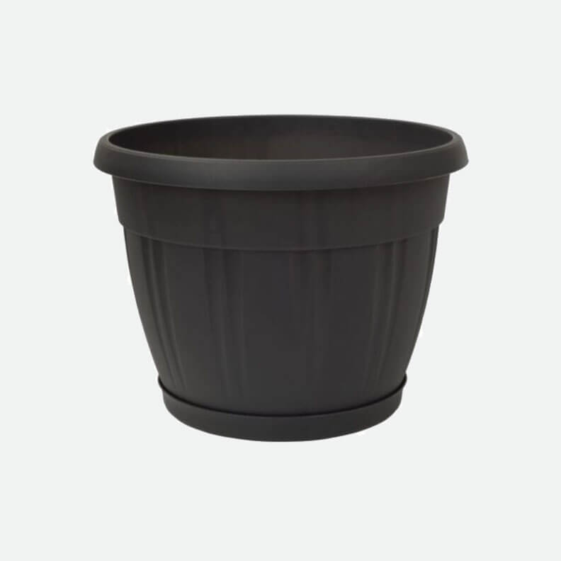 Specialist Pots Archives - Homeleisure